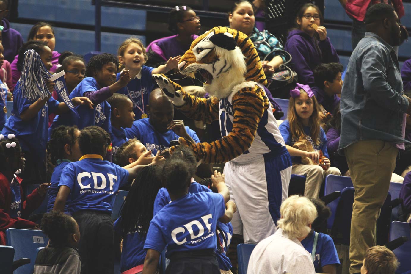 Programs | Tennessee State Athletic Fund